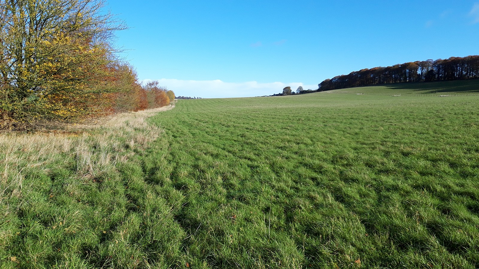 Windsor Clive Equestrian Property Search - Locations